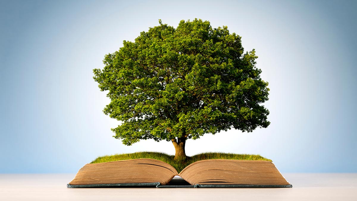 Rooted in Christ and His Word - Concordia Theology